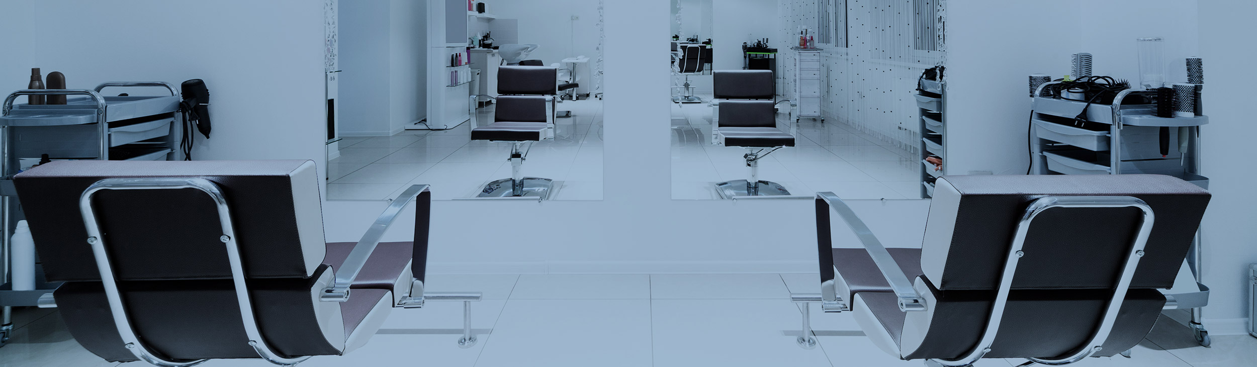 Elevate Your Salon and Unleash Your Potential - Revlon Professional